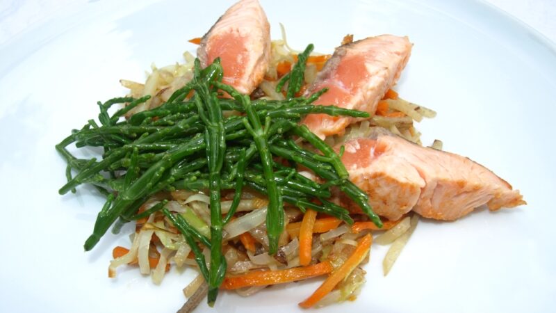 Queller - Küstengemüse und Salzersatz | Algenladen