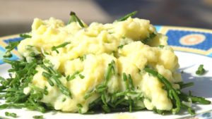 Queller - Küstengemüse und Salzersatz | Algenladen