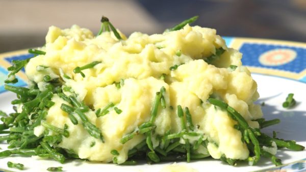 Queller - Küstengemüse und Salzersatz | Algenladen