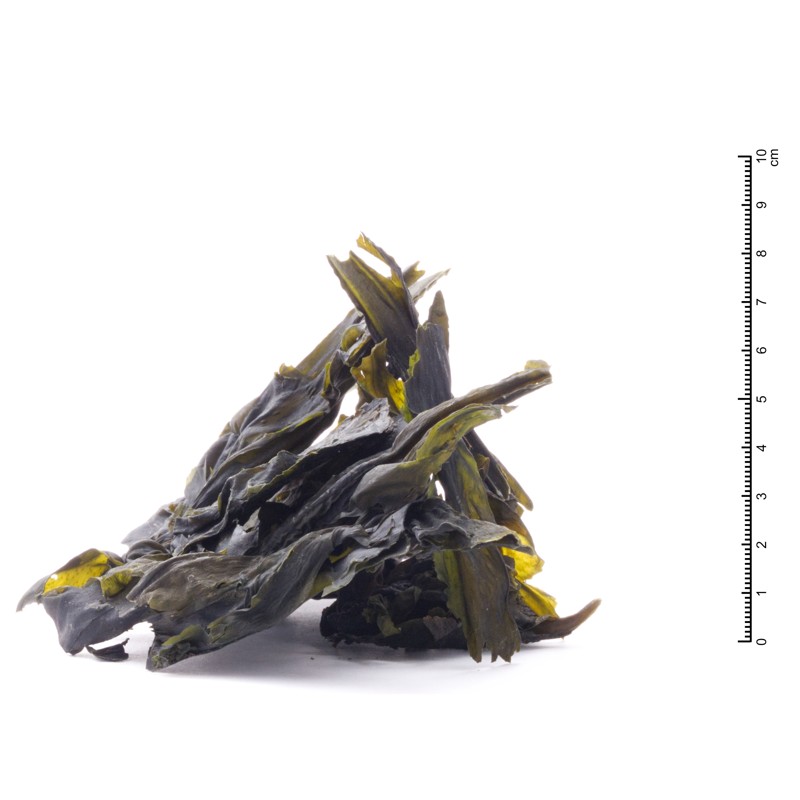 ALGENLADEN BIO Wakame Blätter - 100g | essbare Algen